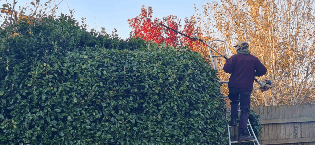 Garden Maintenance Tips for October Hedge Care